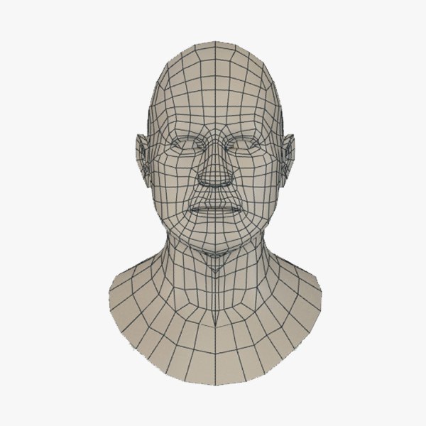 female head bust pack 3d model