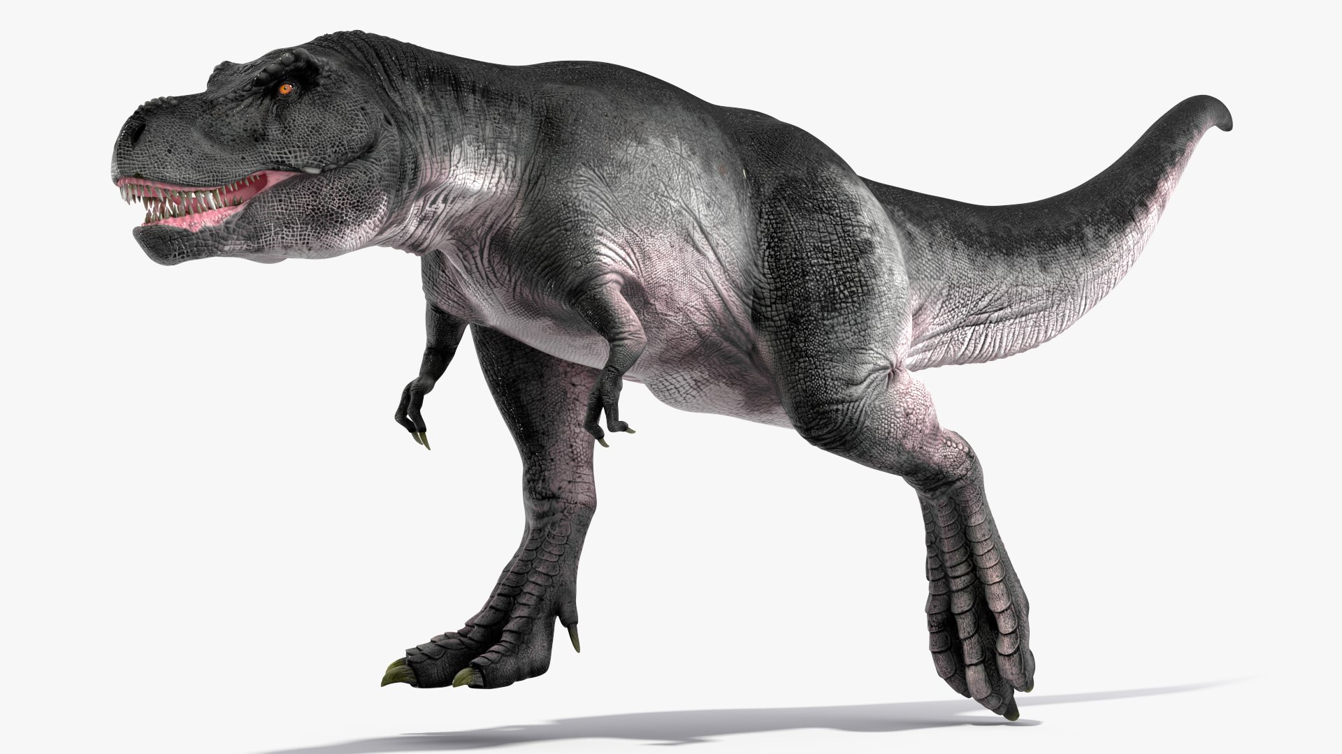 T Rex Running Animated Rigged for Cinema 4D 3D model - TurboSquid 2111094