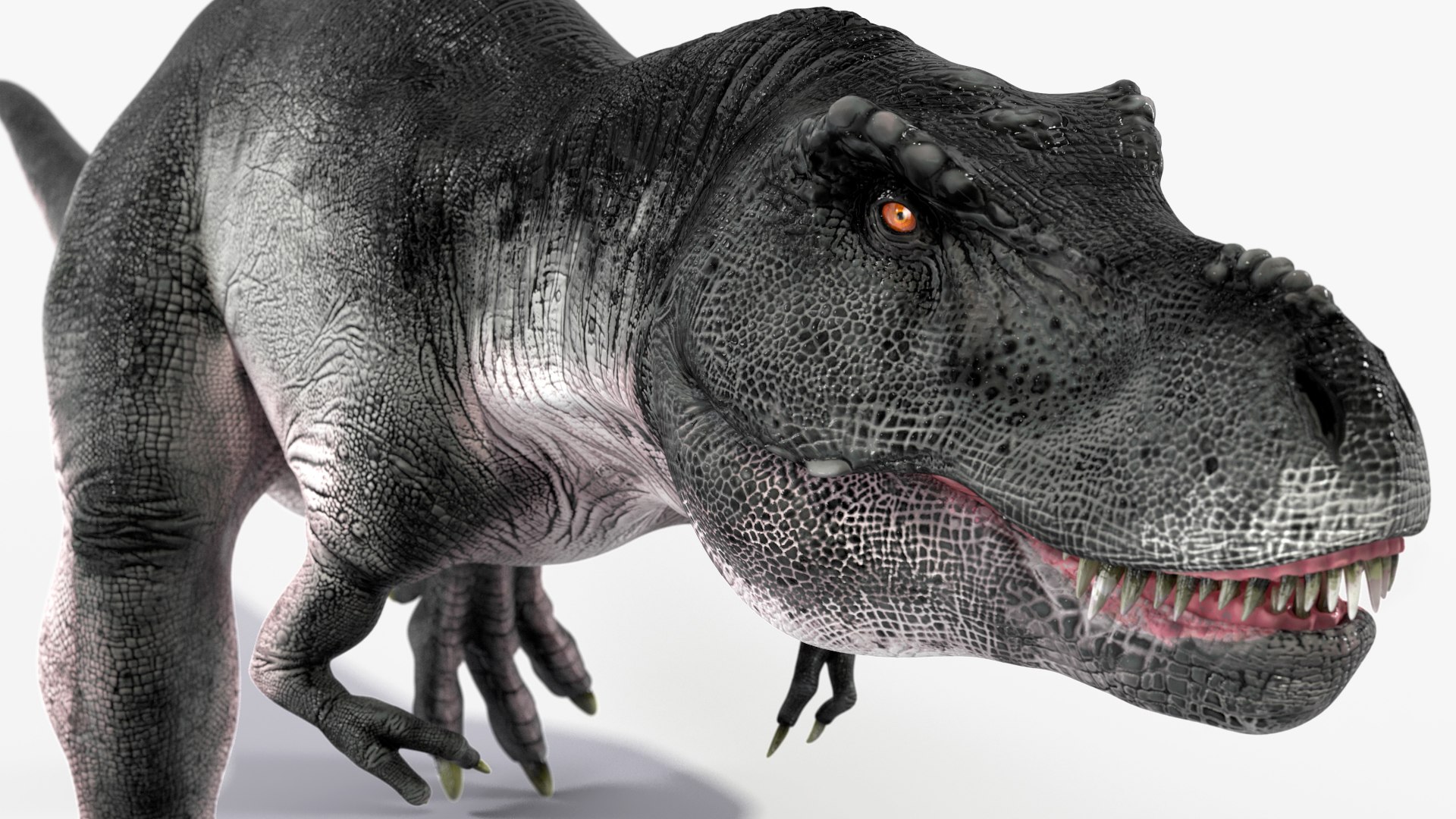 T Rex Running Animated Rigged For Cinema 4D 3D Model - TurboSquid 2111094