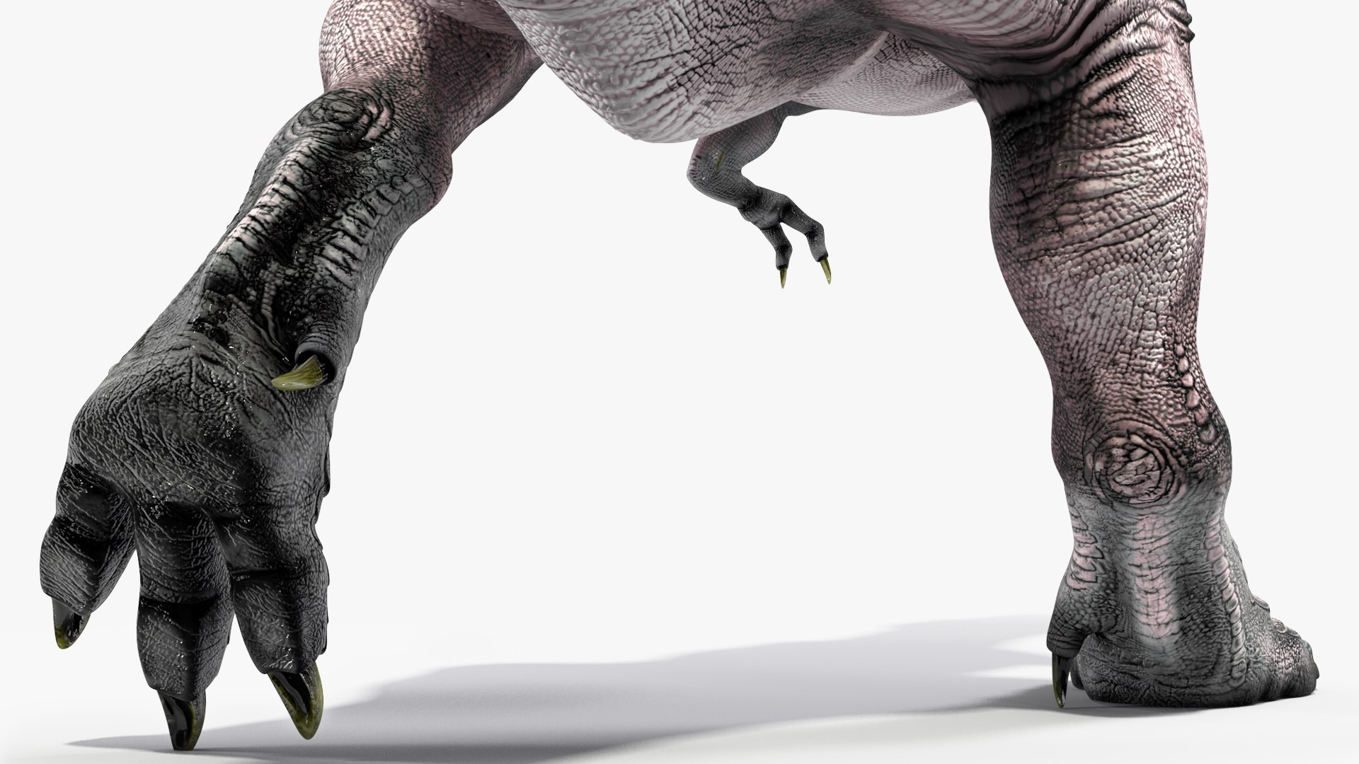 T Rex Running Animated Rigged For Cinema 4D 3D Model - TurboSquid 2111094