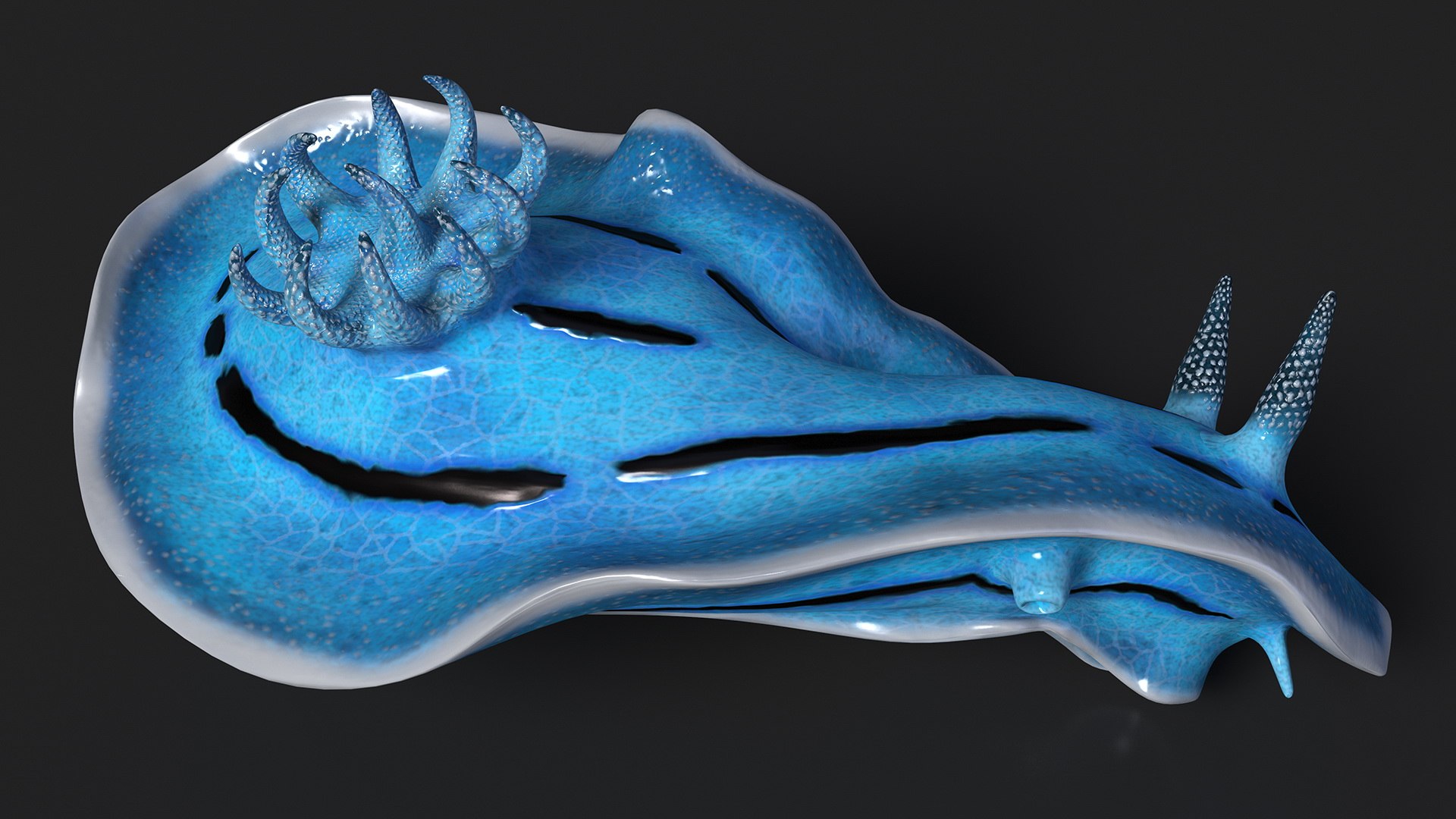 3D Blue Sea Slug Rigged For Maya - TurboSquid 2207208