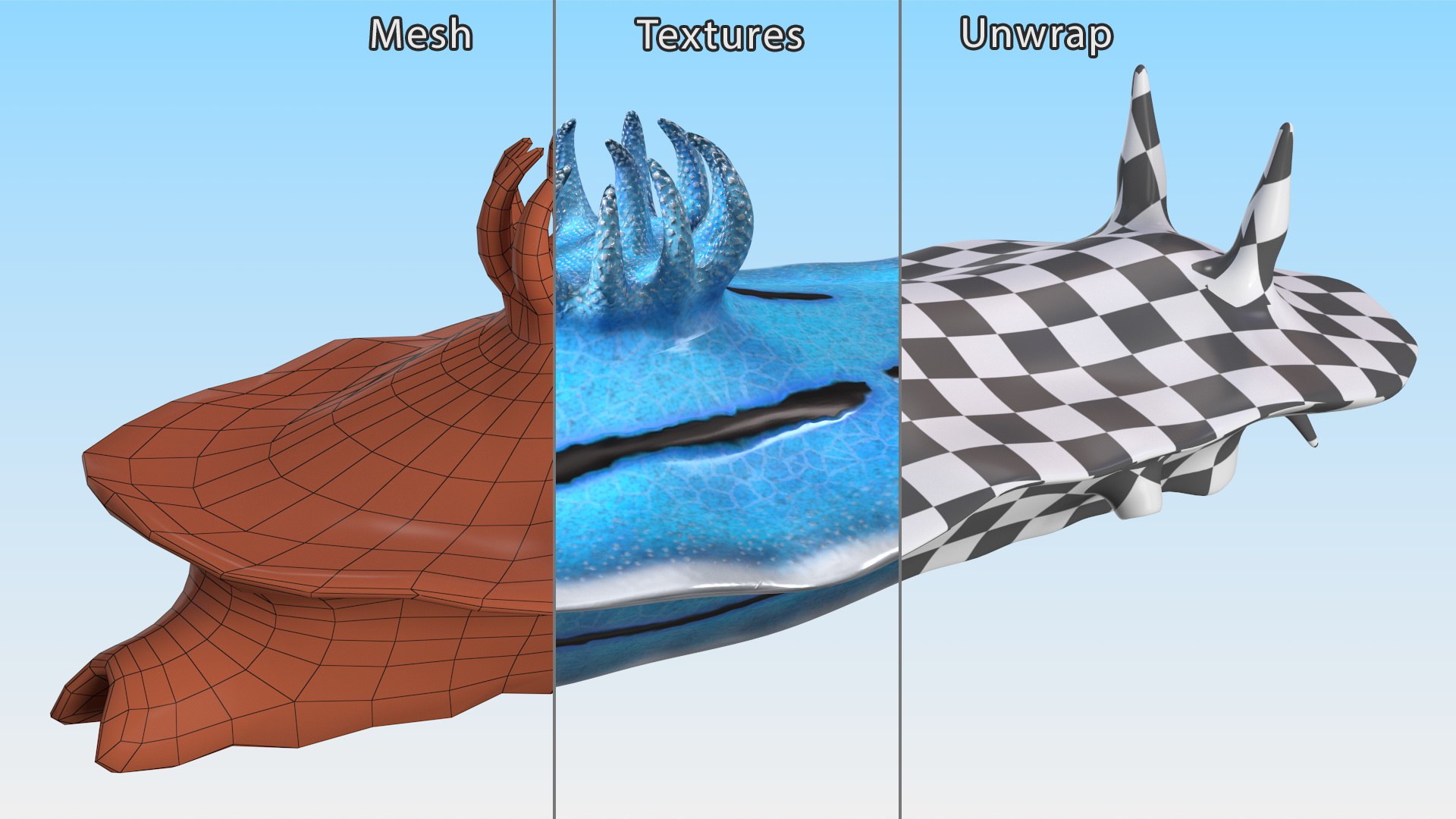 3D Blue Sea Slug Rigged For Maya - TurboSquid 2207208