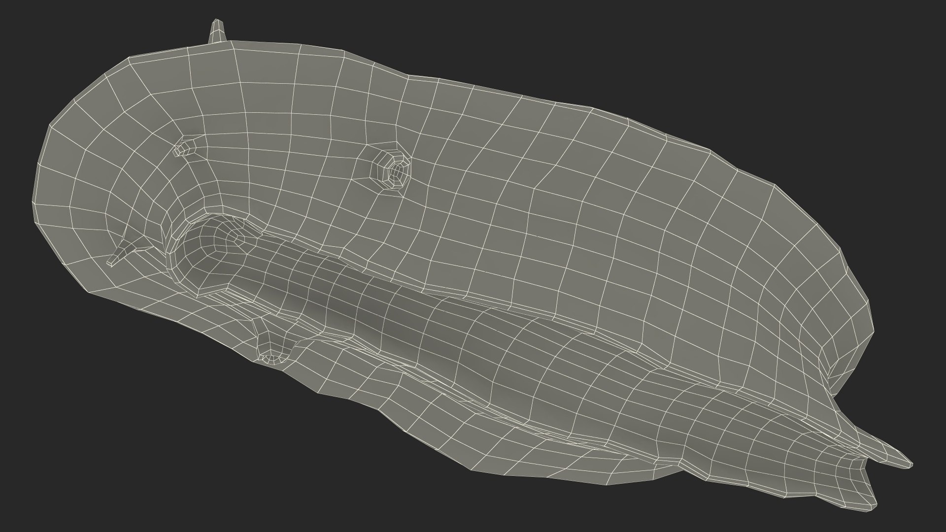 3D Blue Sea Slug Rigged For Maya - TurboSquid 2207208