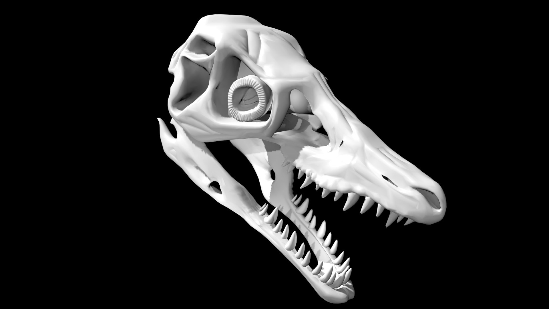Velociraptor Skull 3D Model - TurboSquid 1886955