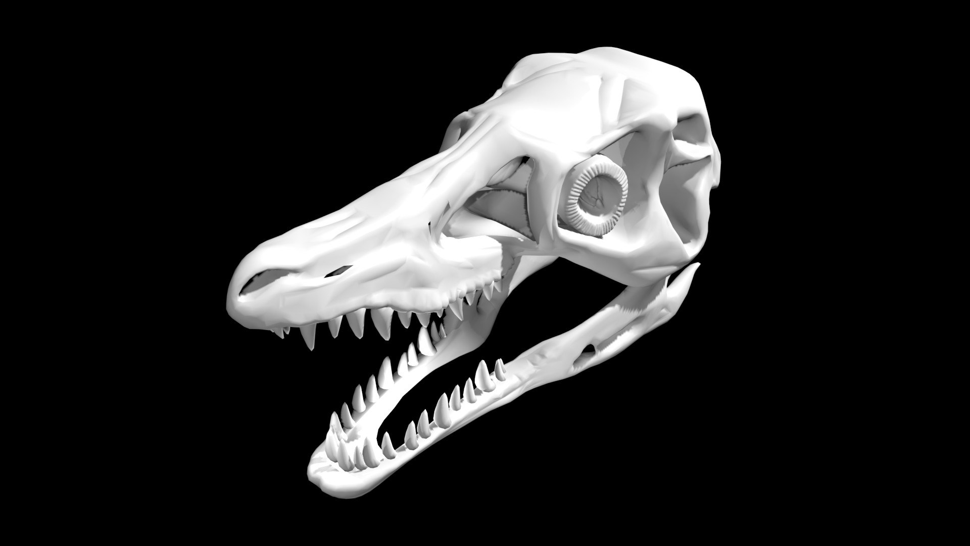Velociraptor Skull 3D Model - TurboSquid 1886955