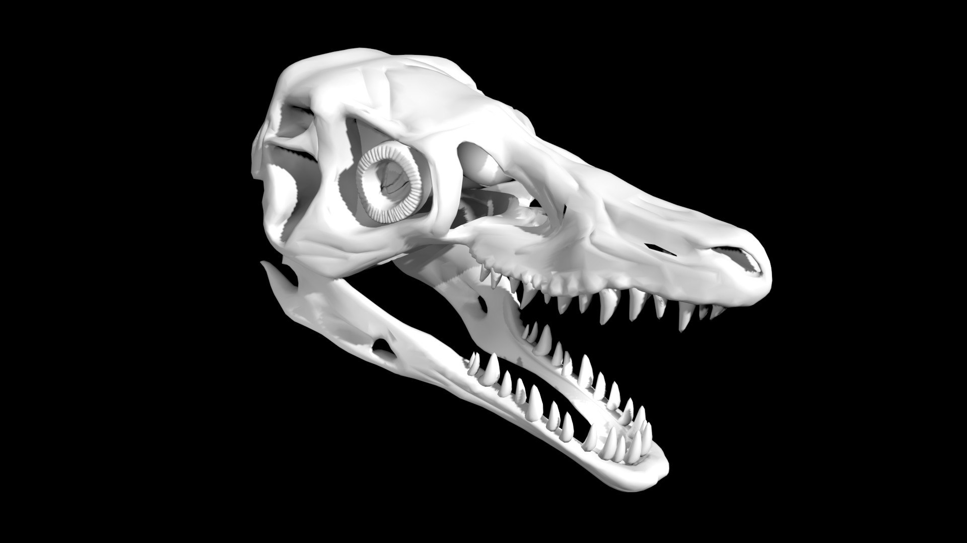 Velociraptor Skull 3D Model - TurboSquid 1886955