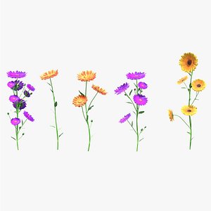 Low Poly Cosmos Flower 3D Models For Download | TurboSquid