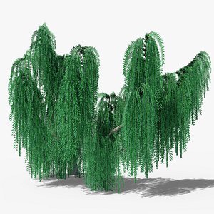 Low Poly Willow Tree 3D Models for Download | TurboSquid