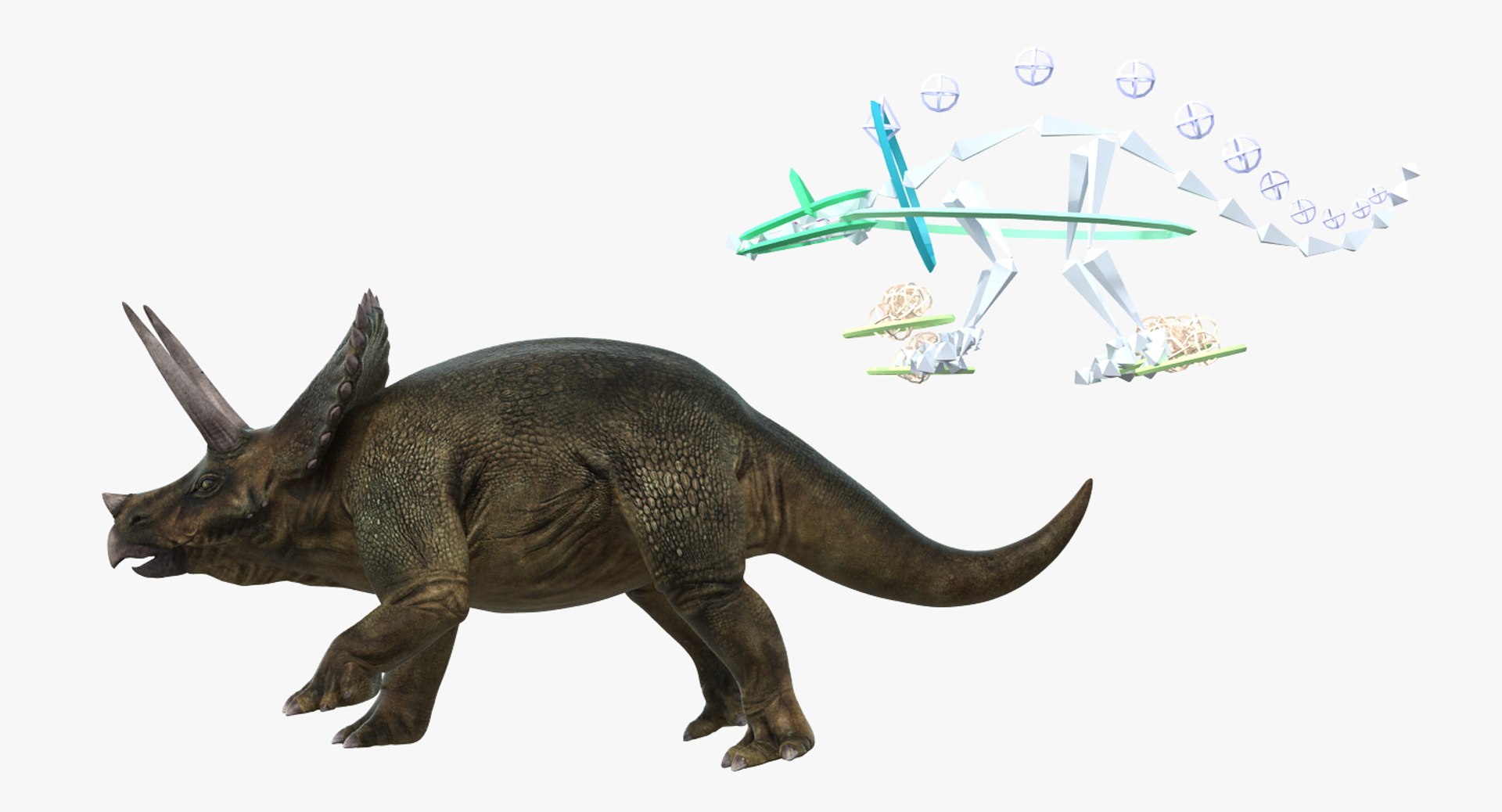 Triceratops Rigged Max