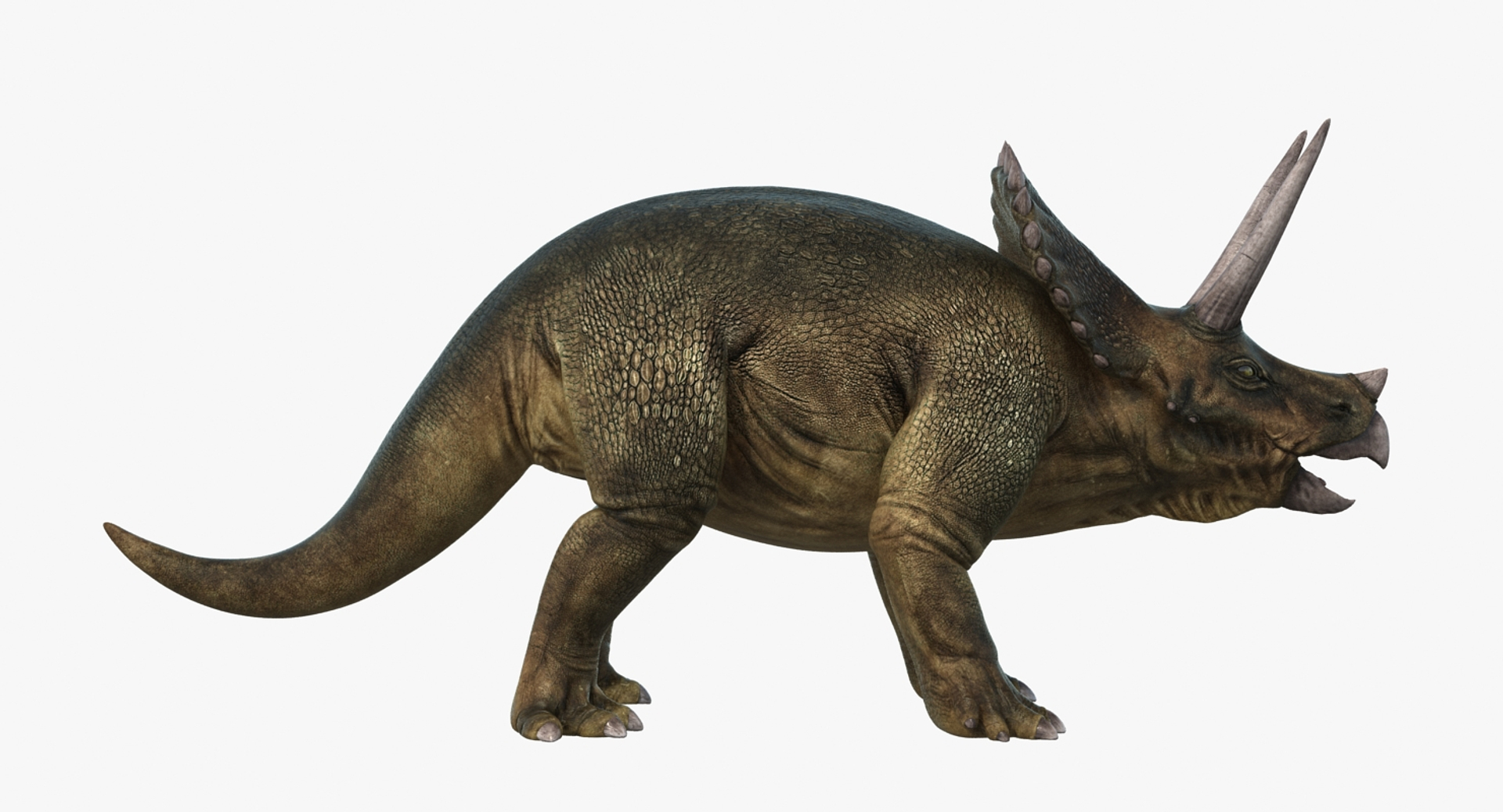Triceratops Rigged Max