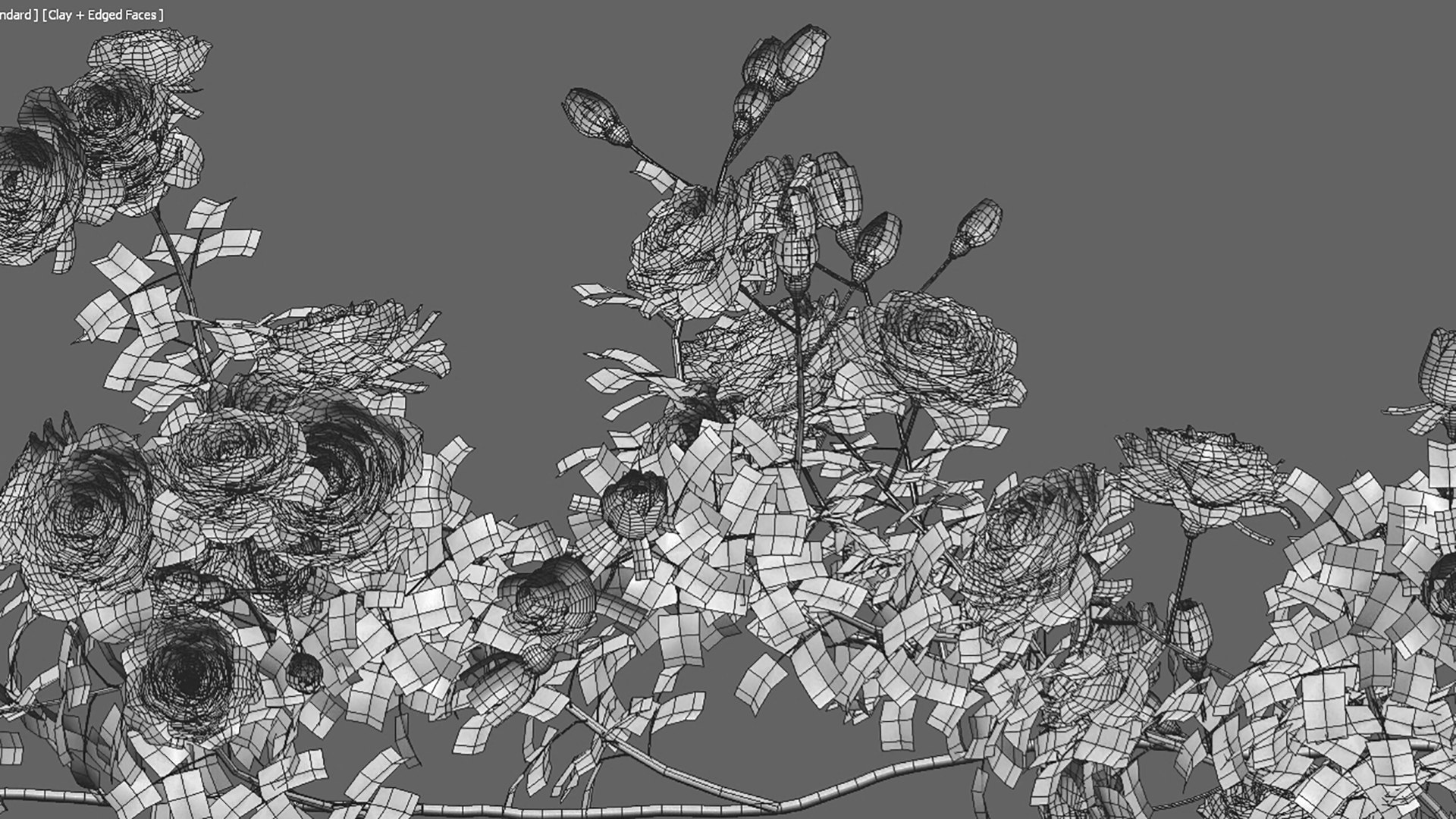 3D Rosa Climbing Iceberg - Rose 02 - TurboSquid 1781674