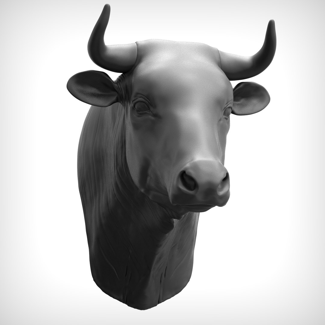 3D Bull Head - TurboSquid 1205794