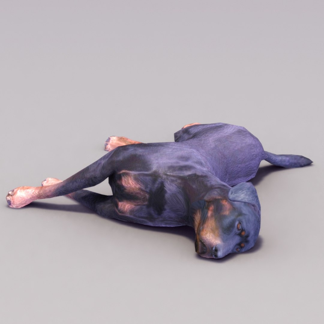 Rottweiler Dog 3d Model