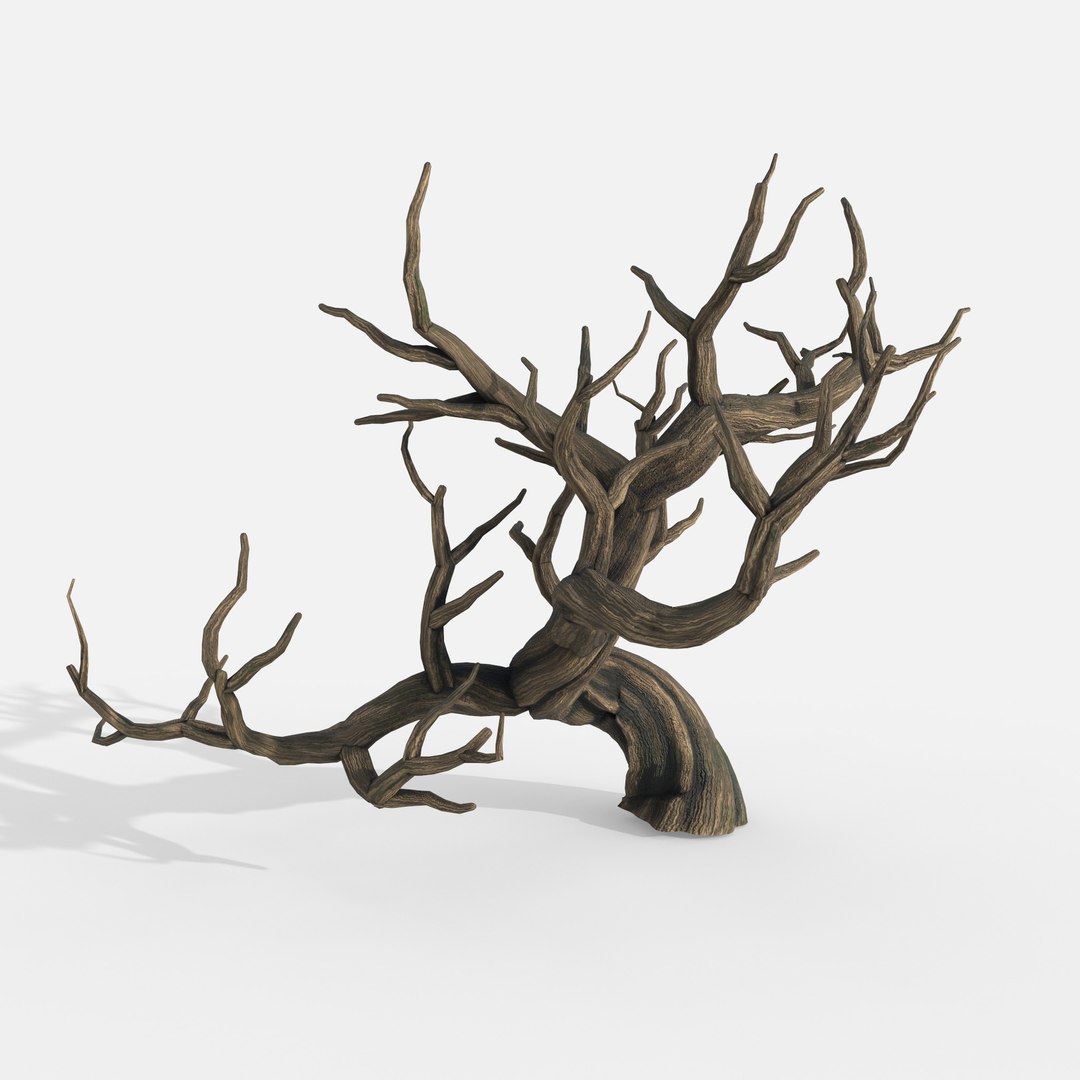 Aquarium Snag Set Model - TurboSquid 2389144