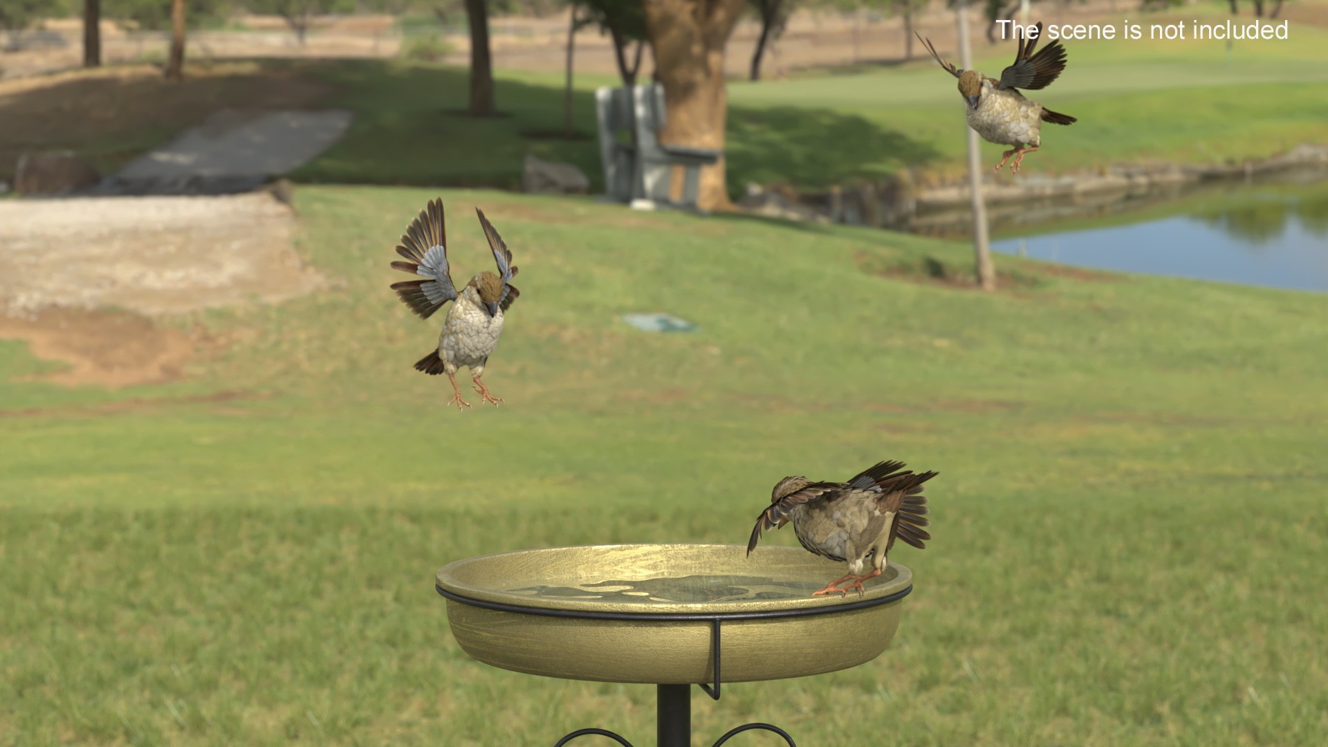 Birds Drink From A Birdbath 3D - TurboSquid 2322901