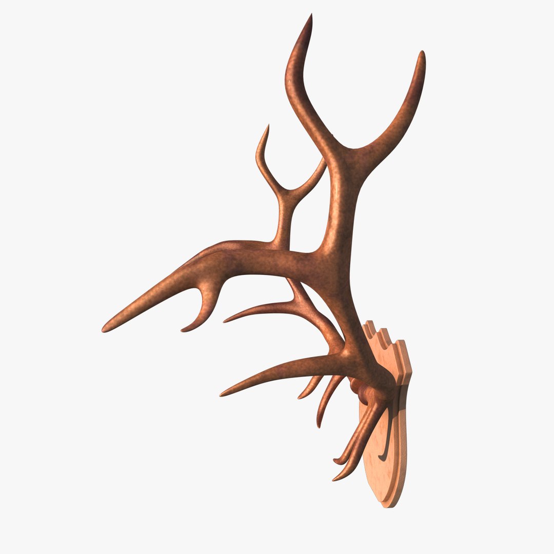 3d deer antlers model