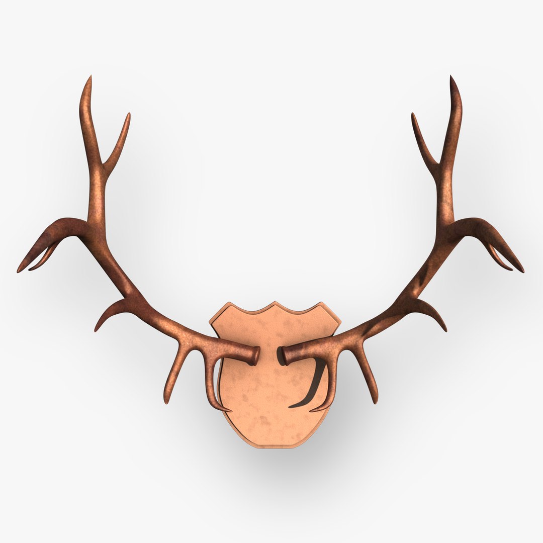 3d deer antlers model