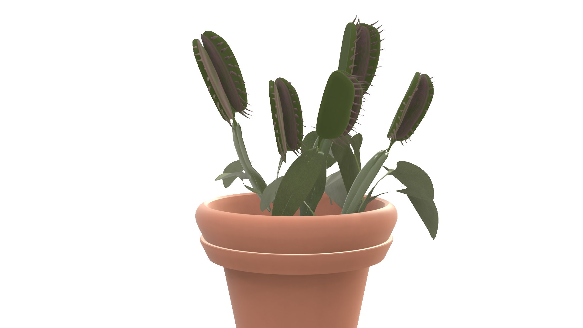 3D CARNIVOROUS PLANT model - TurboSquid 2182892