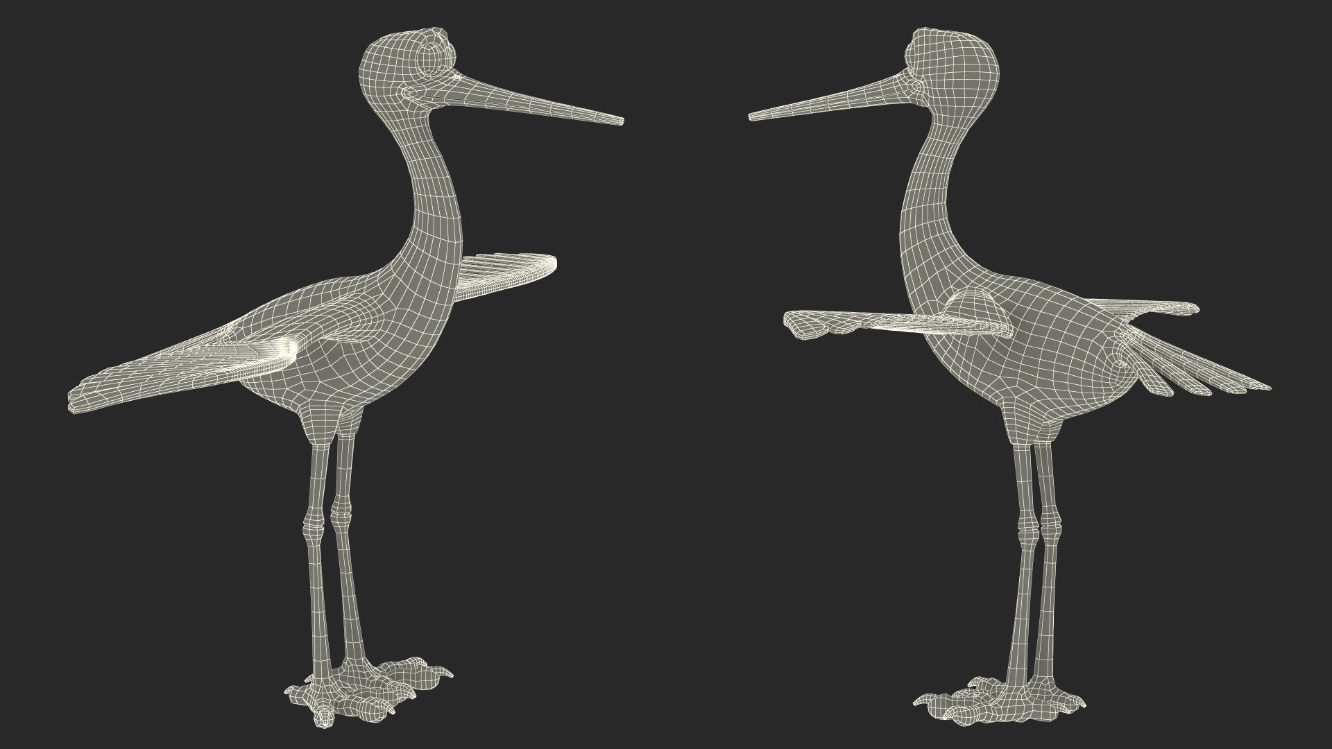 Stork Cartoon 3D Model - TurboSquid 2083585