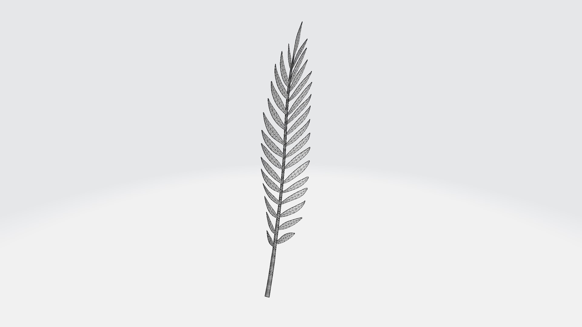 Tropical Leaf Model - TurboSquid 2330388