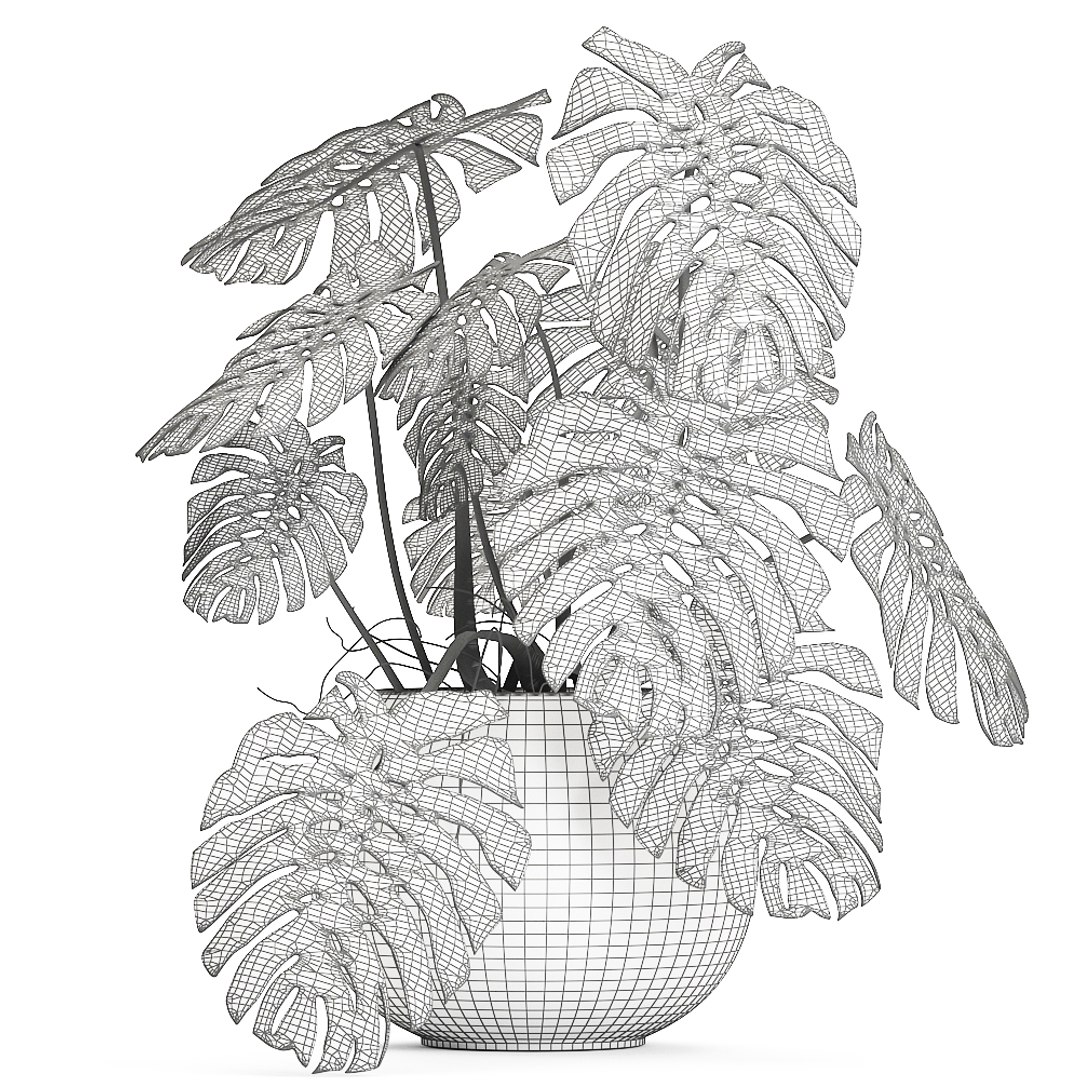 3D monstera interior white - TurboSquid 1598890