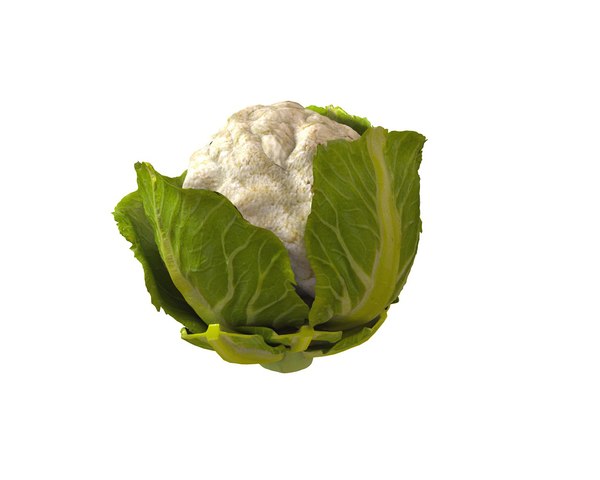 modelo 3d Mega colección de verduras - TurboSquid 1544627