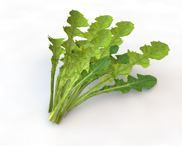 modelo 3d Mega colección de verduras - TurboSquid 1544627
