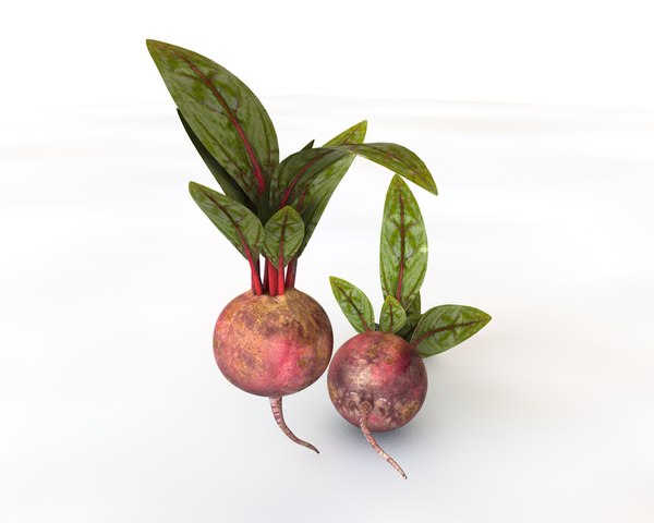 modelo 3d Mega colección de verduras - TurboSquid 1544627