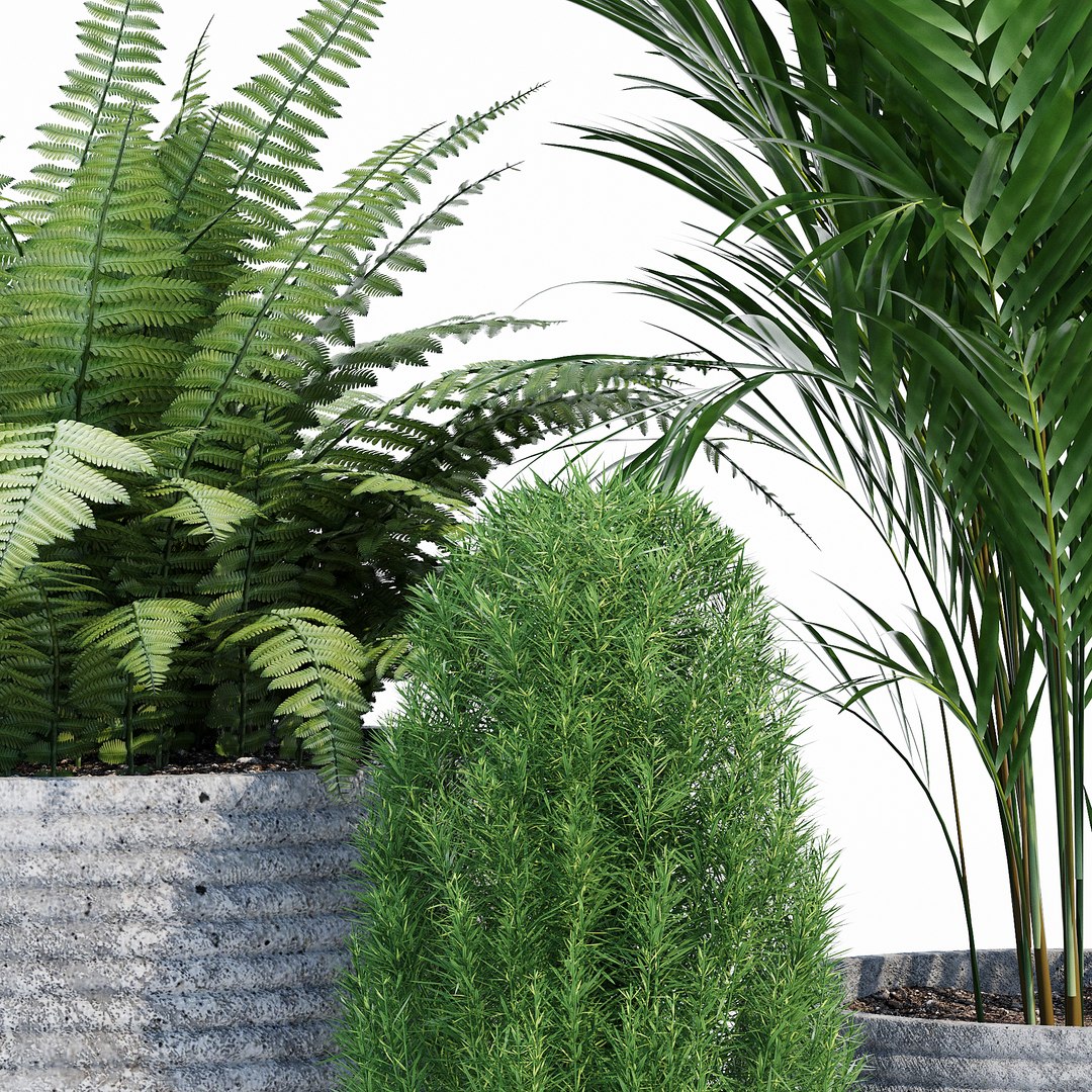 3D Fiber Clay Planter Set - TurboSquid 1550318