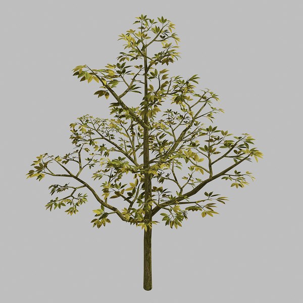 Forest plants - trees 3D - TurboSquid 1449218