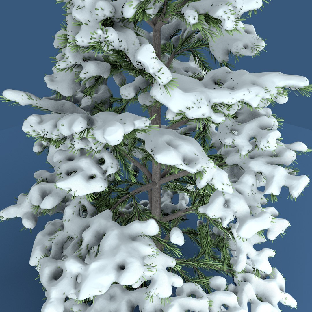 3D Model Snowy Fir Tree - TurboSquid 2165236