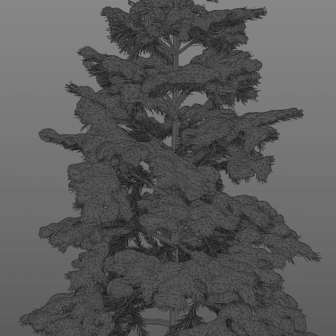 3D Model Snowy Fir Tree - TurboSquid 2165236