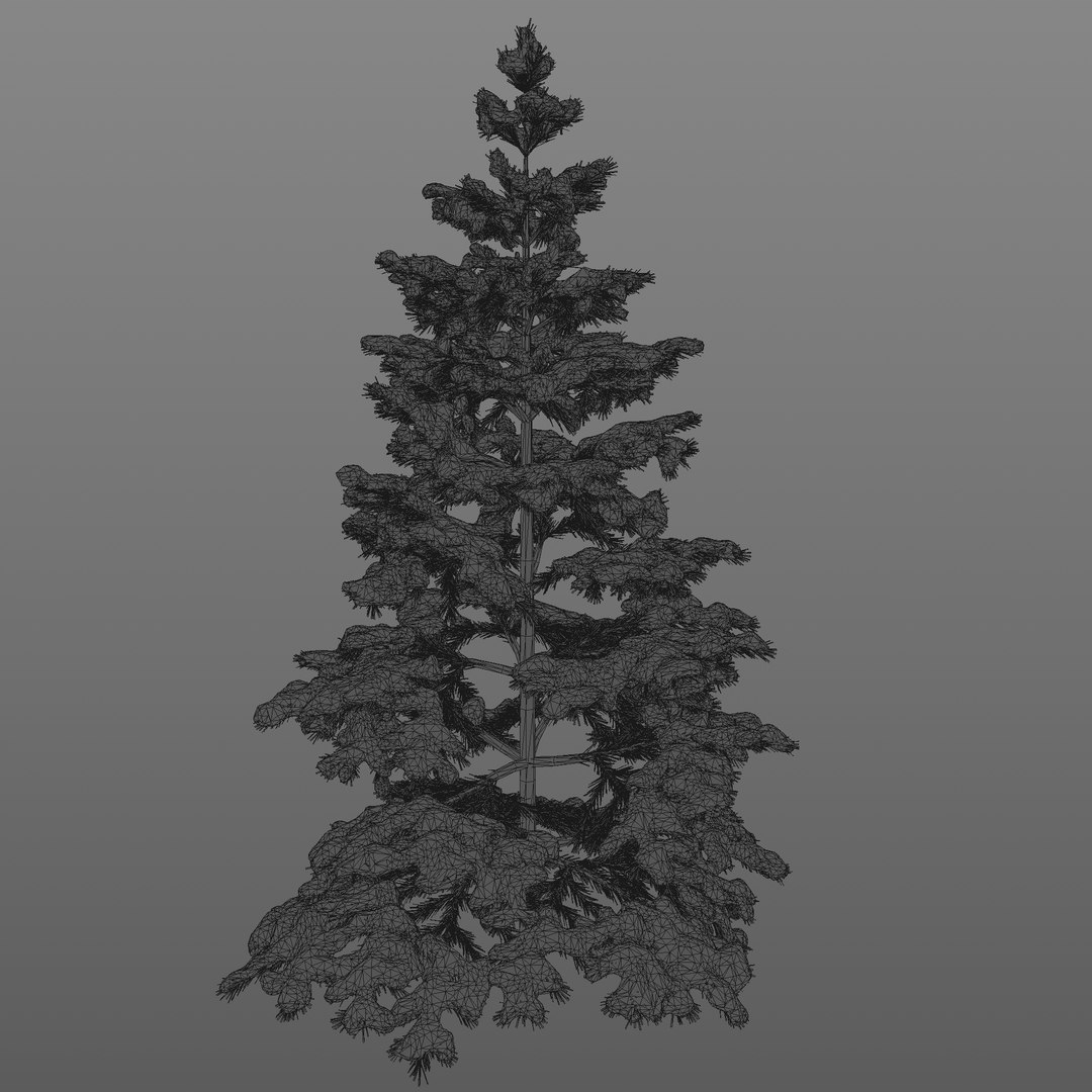 3D Model Snowy Fir Tree - TurboSquid 2165236