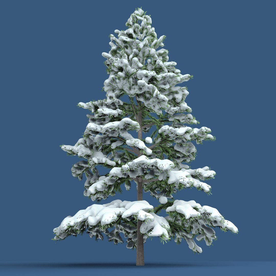 3D Model Snowy Fir Tree - TurboSquid 2165236