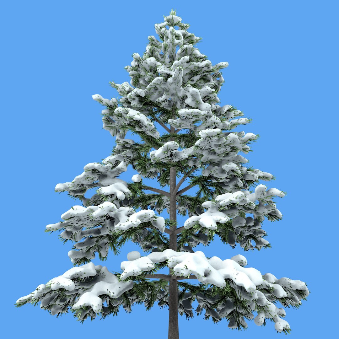 3D Model Snowy Fir Tree - TurboSquid 2165236