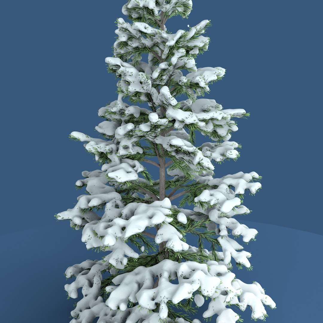 3D Model Snowy Fir Tree - TurboSquid 2165236