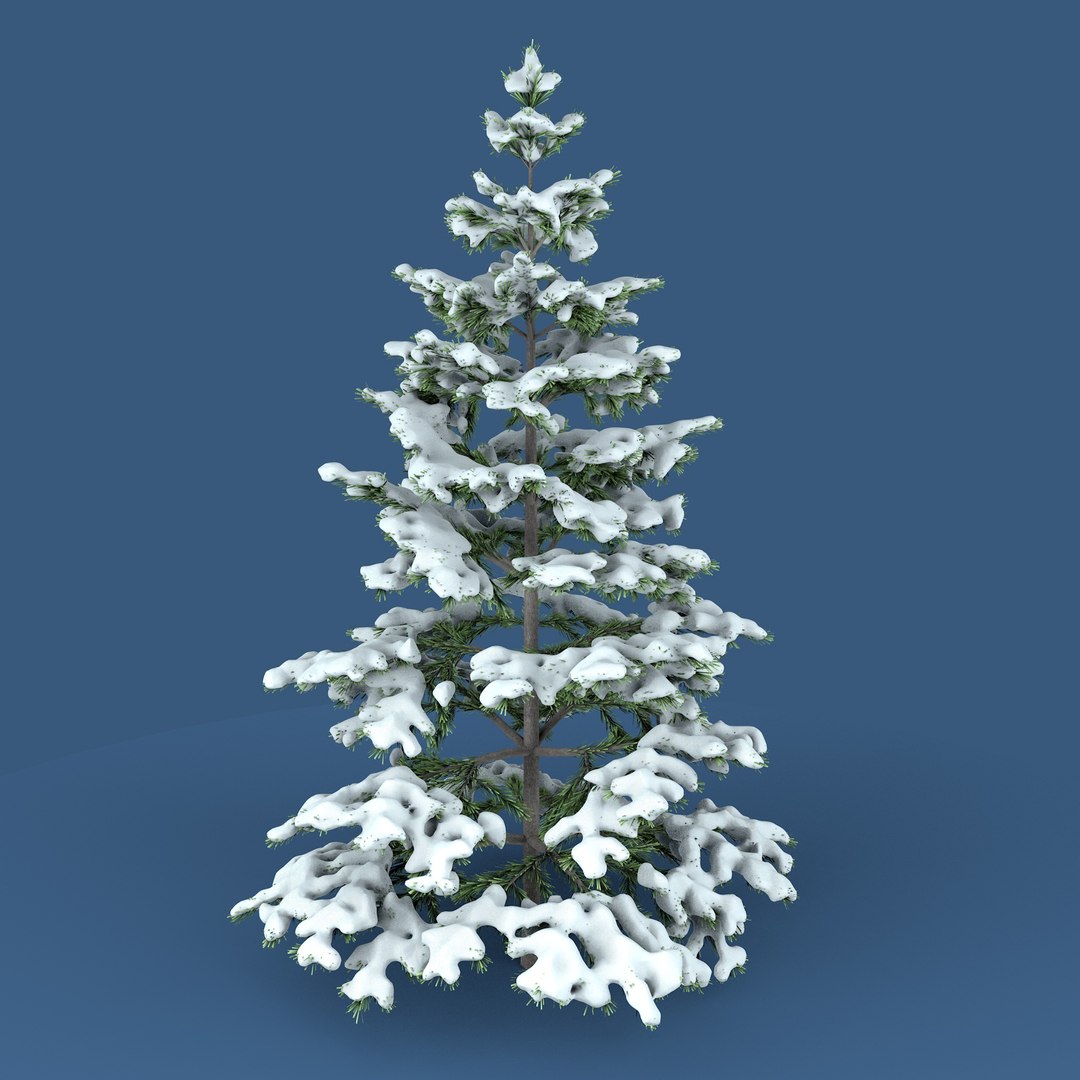 3D Model Snowy Fir Tree - TurboSquid 2165236