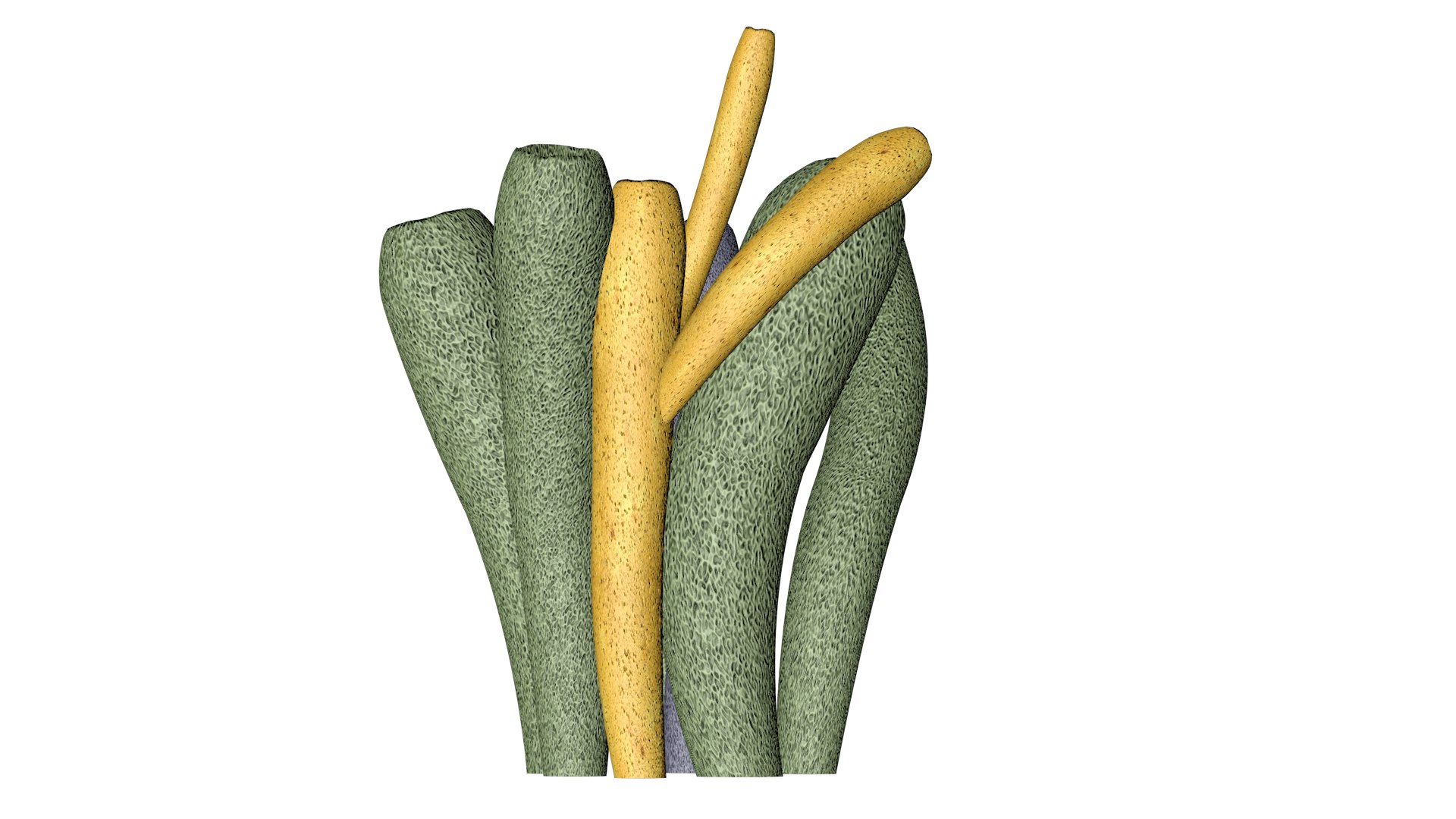 3D Tube Sponge - 04 - - TurboSquid 2371850