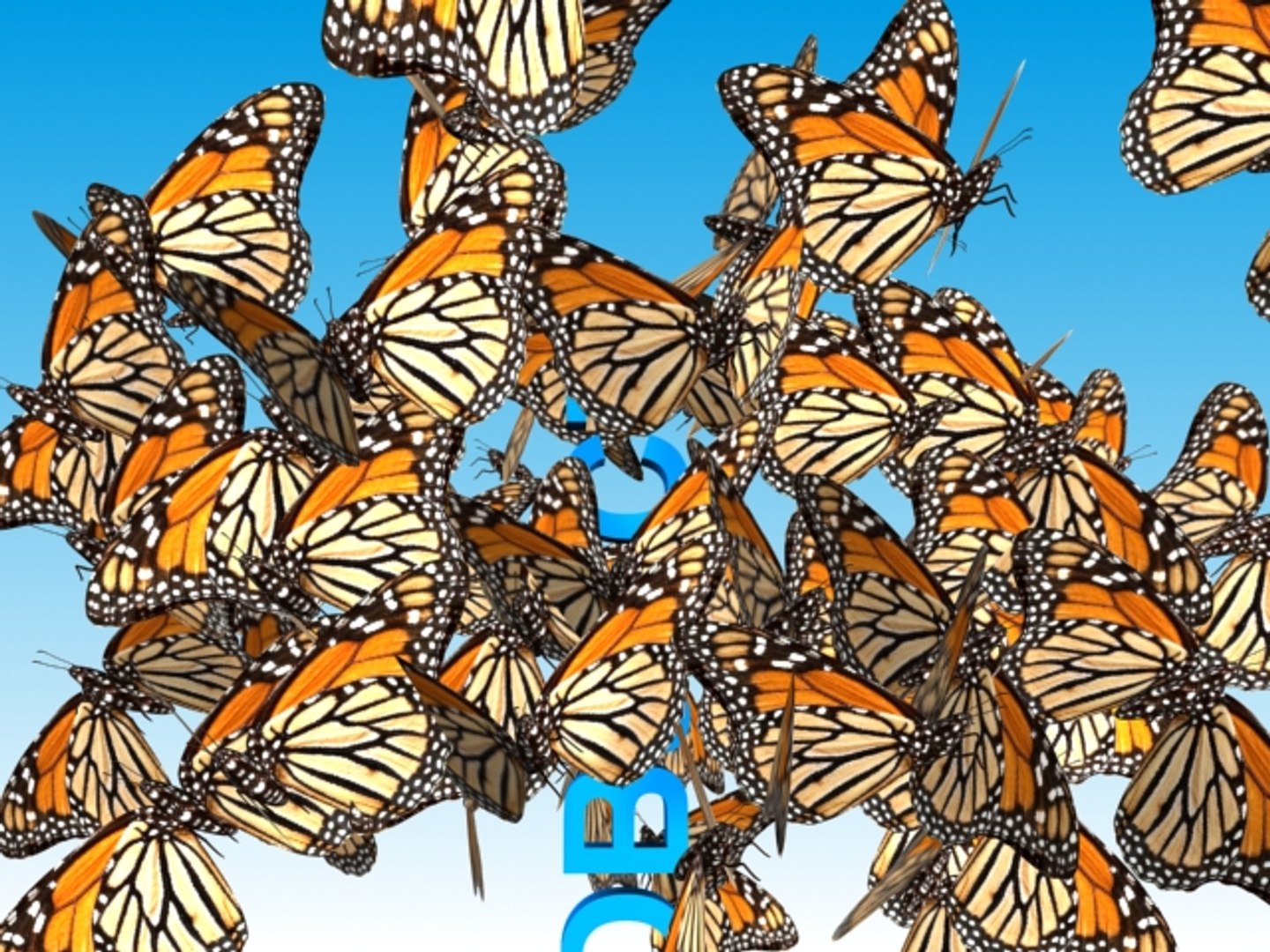 3d Butterflies Reveal Object