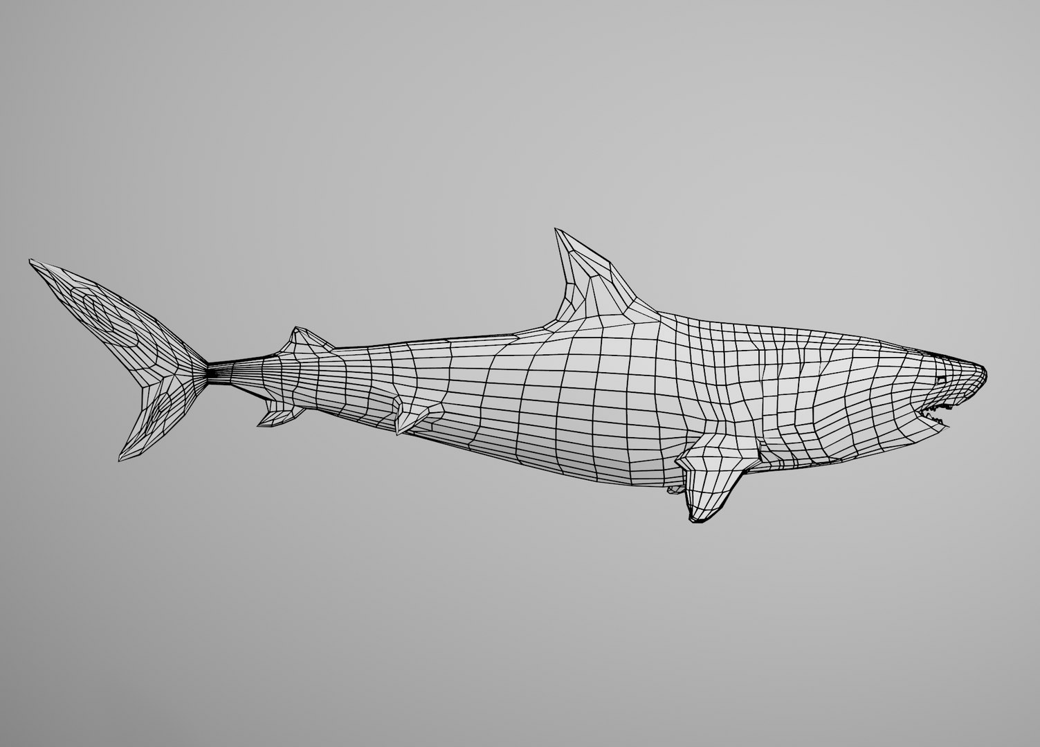 Tiger shark 3D model - TurboSquid 1618391