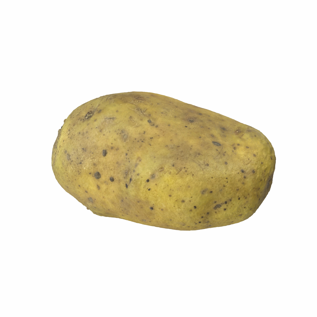Potato 3D - TurboSquid 2328519