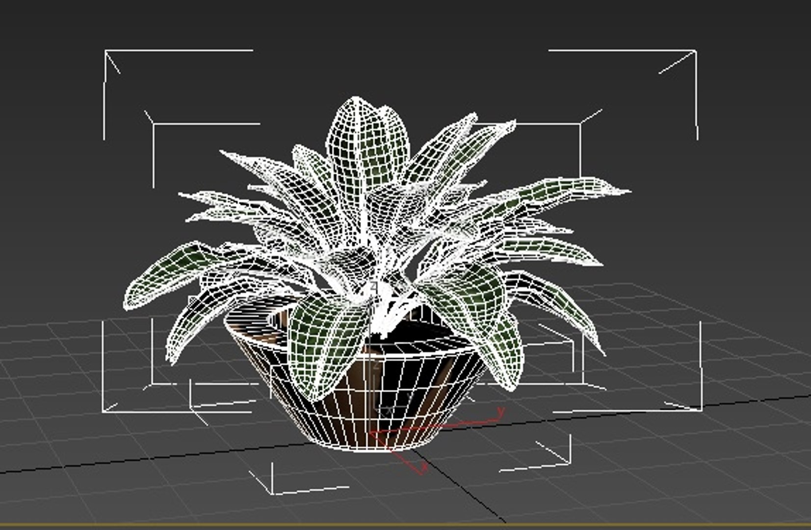 Plant 3D Model - TurboSquid 1453556