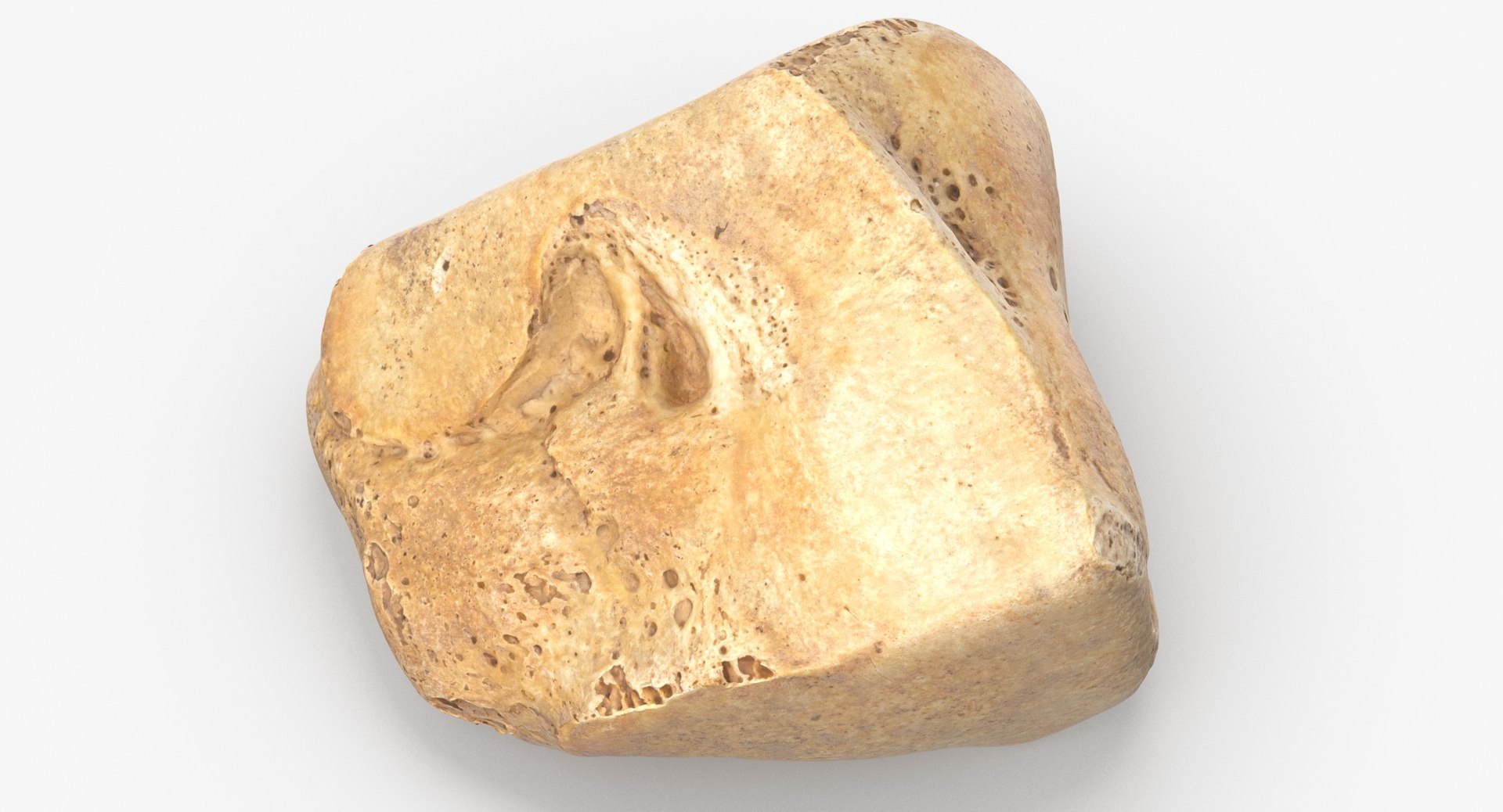 3D Cuneiform Bone Lateral 01 - TurboSquid 1520903