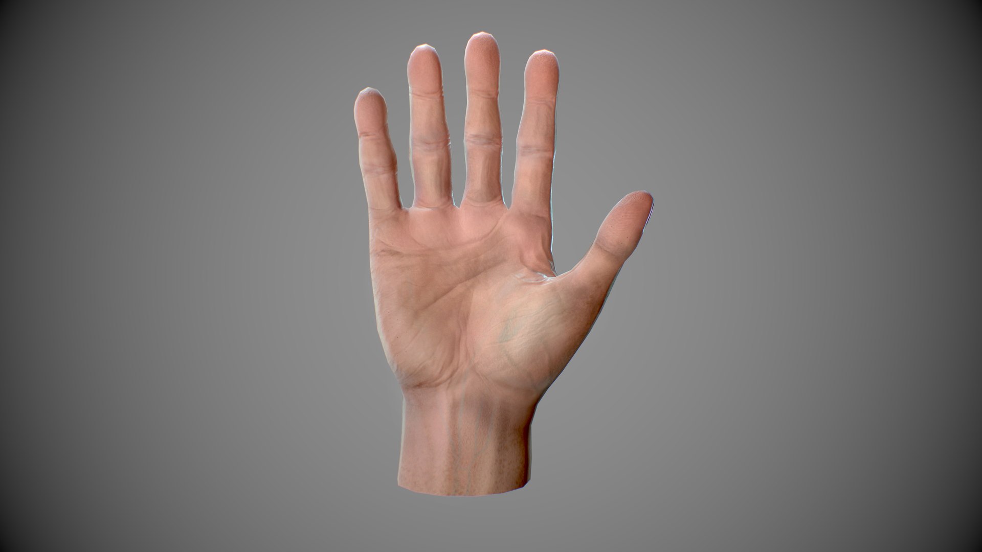 Realistic Male Hand Rigged Model - TurboSquid 1421280 Realistic Male Hand Rigged Model - TurboSquid 1421280