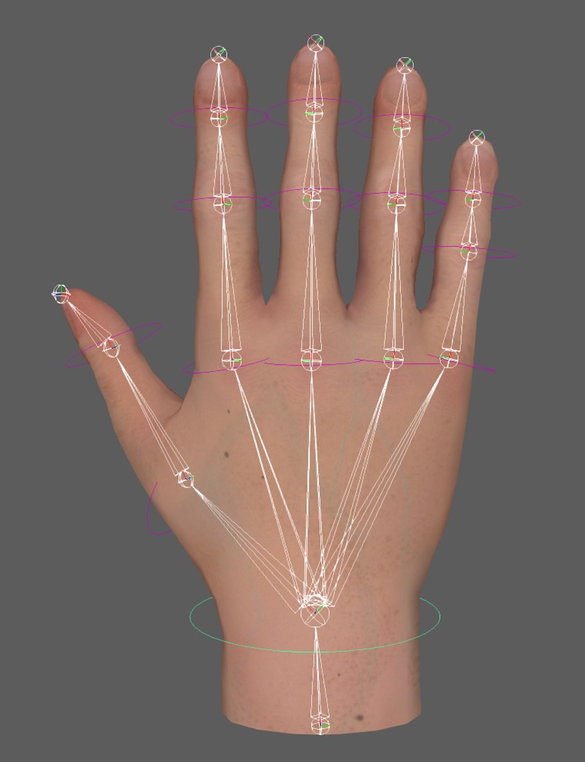 Realistic Male Hand Rigged Model - TurboSquid 1421280