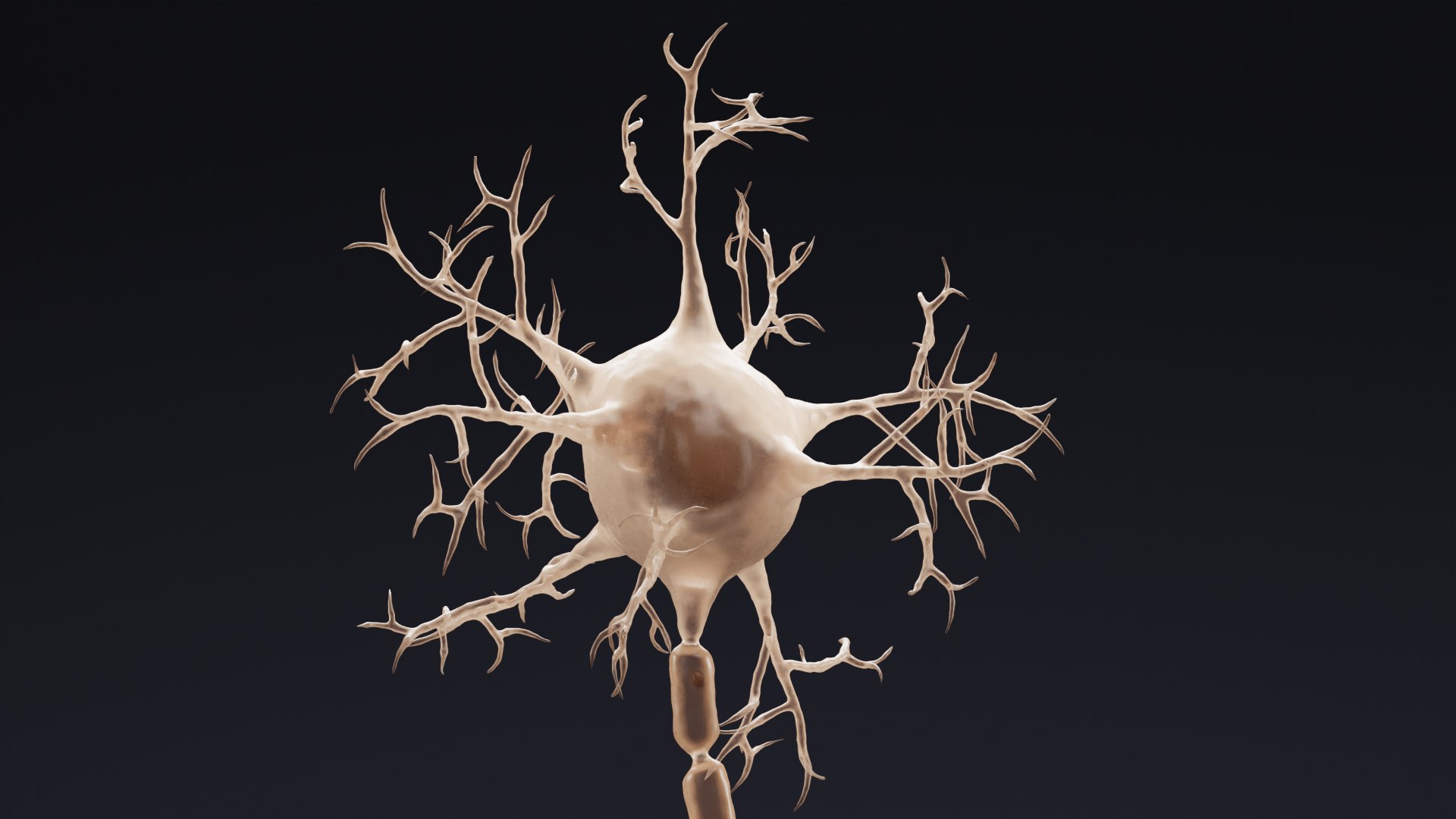 3D Neuron 3 Rigged Model - TurboSquid 1770544