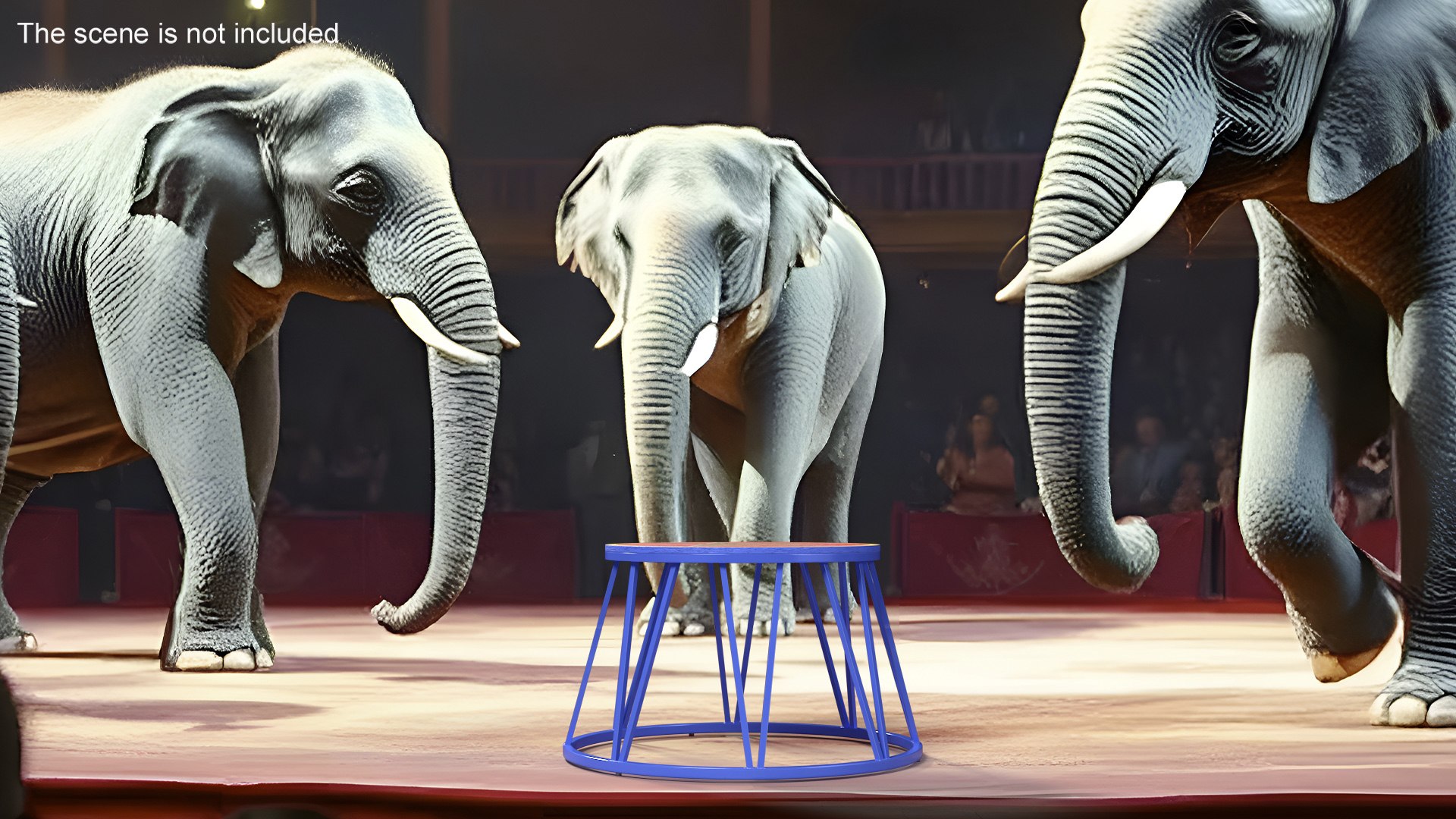 Circus Animal Podium 3D Model - TurboSquid 2289935