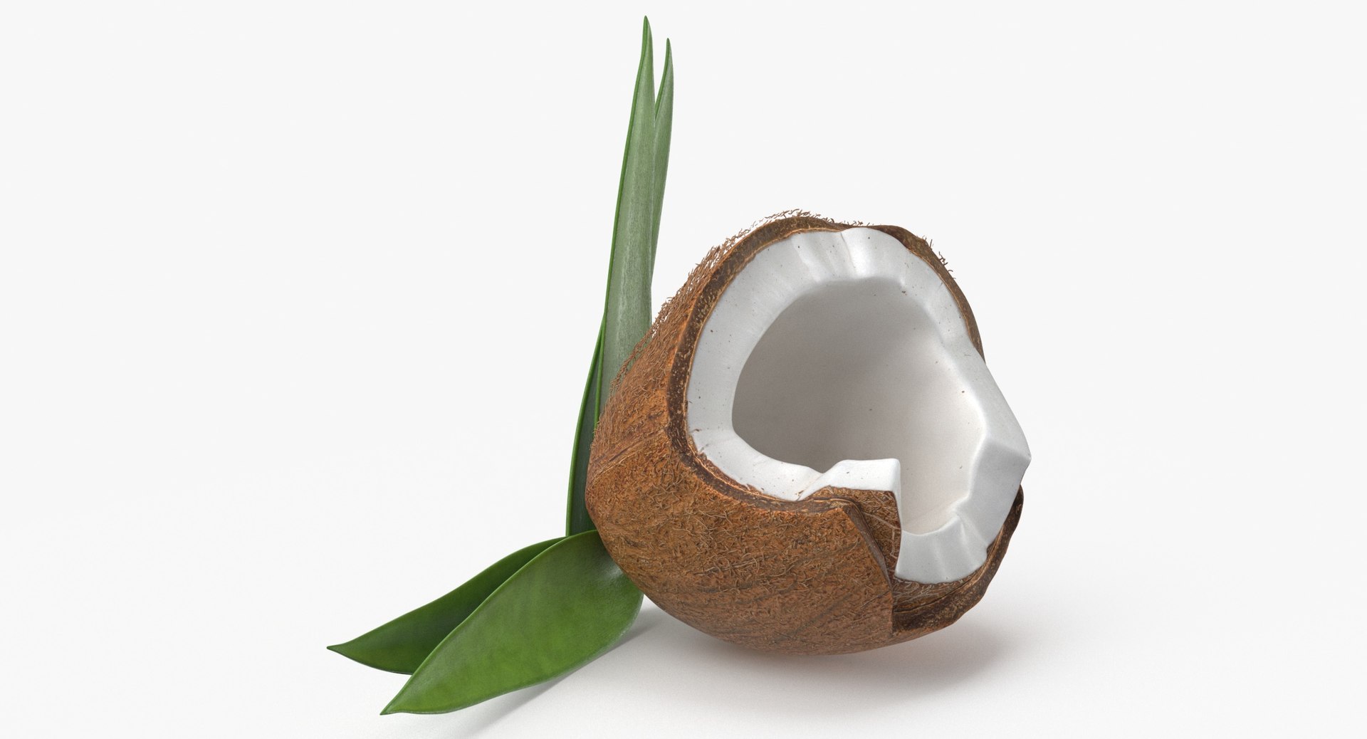 Prop 06 Coconut Half 3D model - TurboSquid 2143057