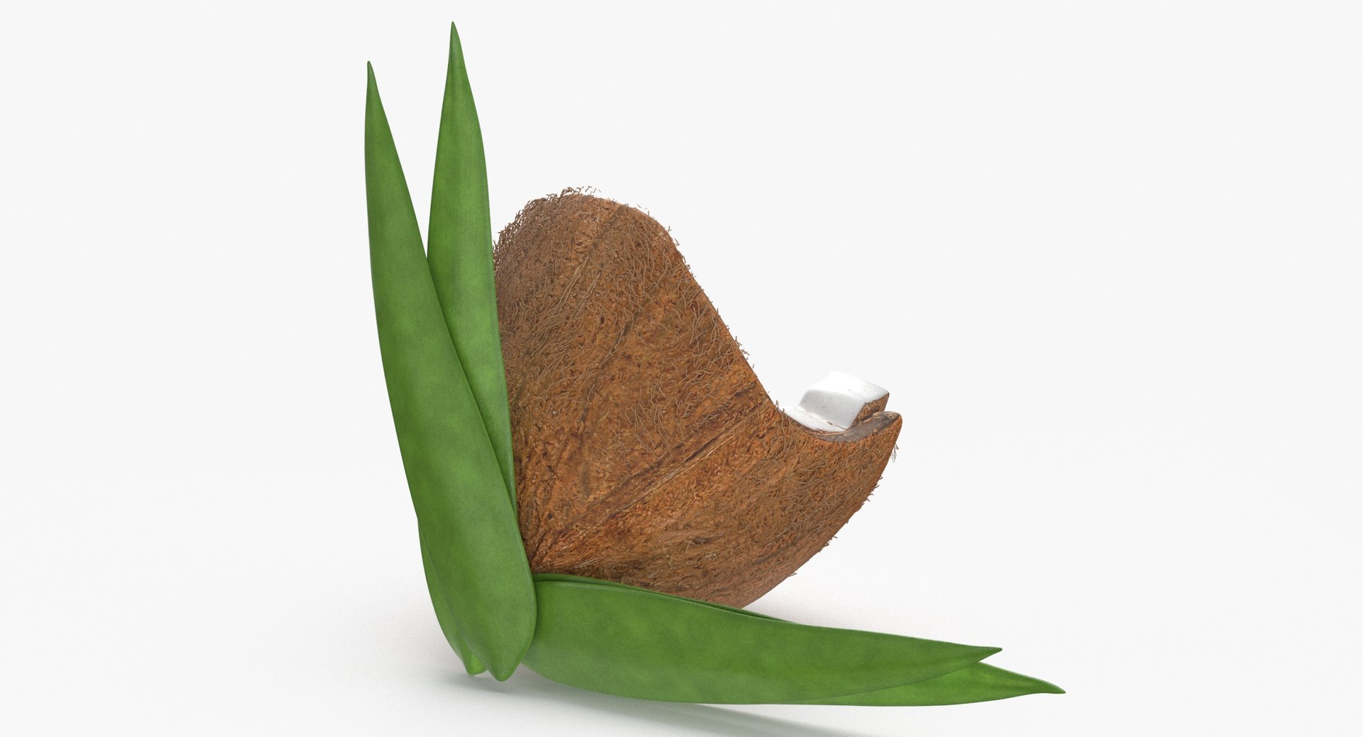 Prop 06 Coconut Half 3D model - TurboSquid 2143057