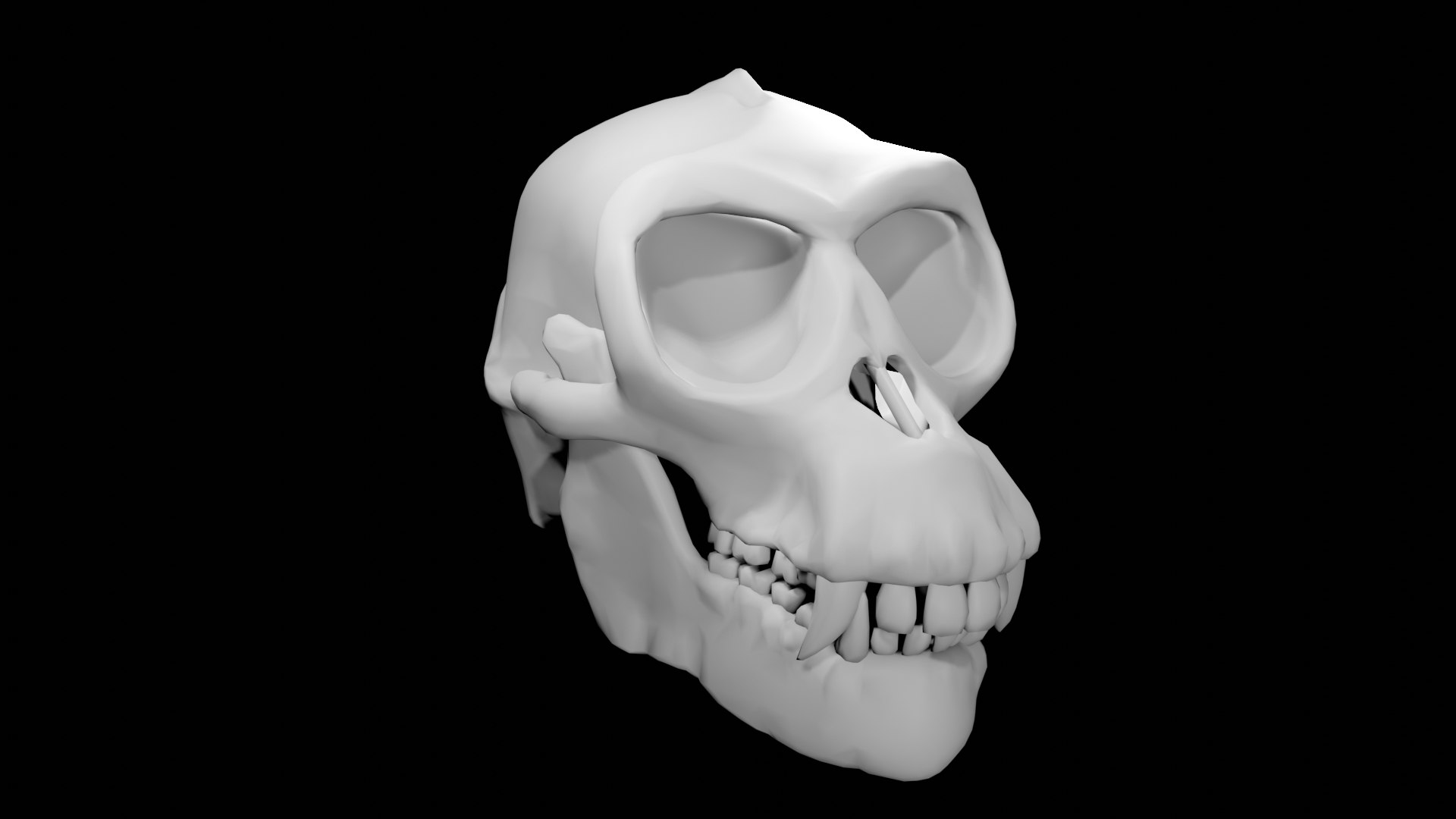 3D Monkey Skull - TurboSquid 1837101